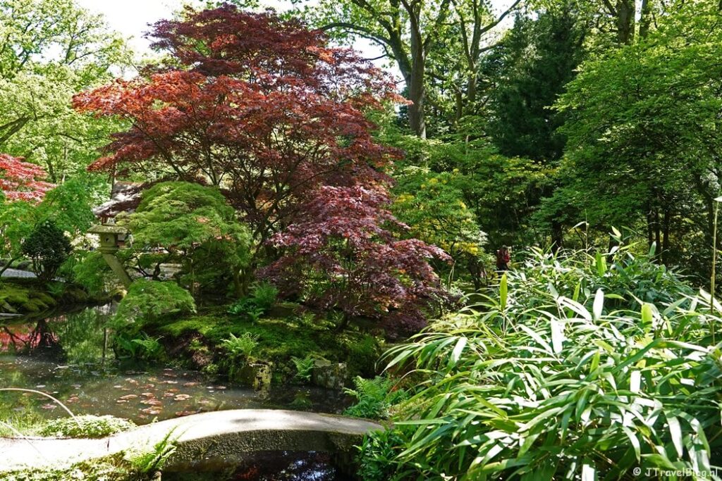 De Japanse Tuin in Den Haag | JTravelBlog