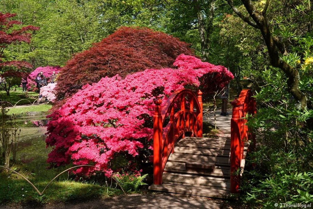 De Japanse Tuin in Den Haag | JTravelBlog