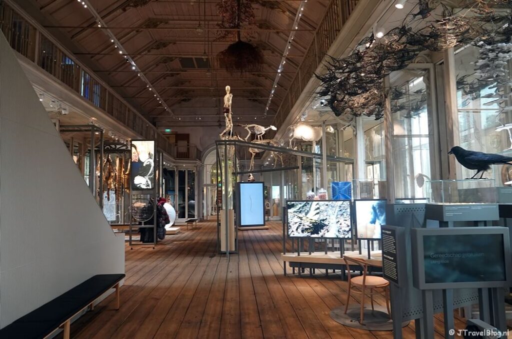 Museumtip #34 : Groote Museum - Amsterdam | JTravelBlog