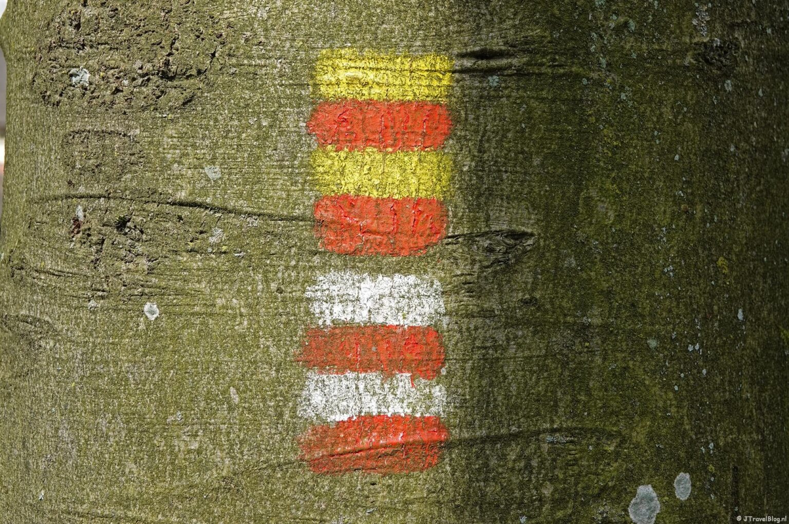 Verschillende soorten wandelingen op een rijtje | JTravelBlog