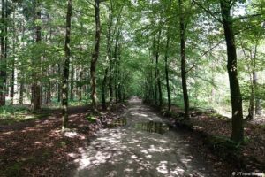 Oudste wandelroute van Nederland etappe 7 : Maarn - Doorn | JTravelBlog